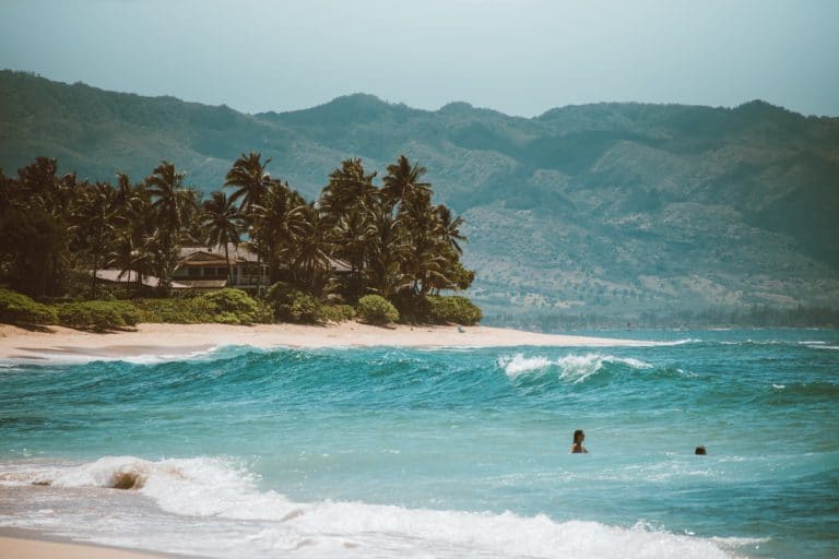 Are There Ticks In Hawaii? Ticks and Lyme Disease In Hawaii